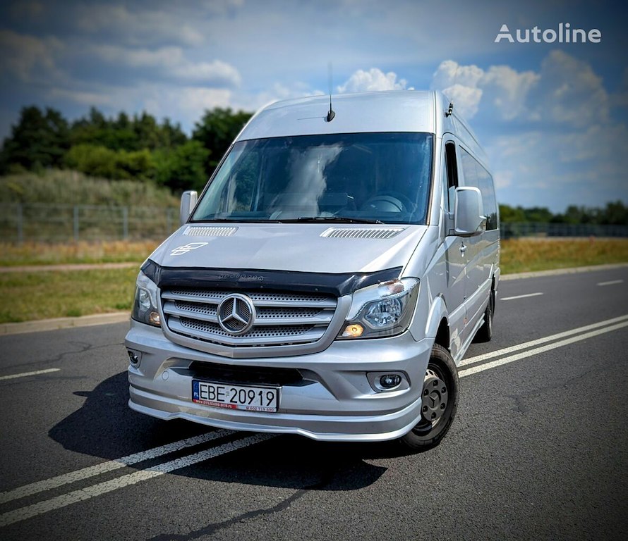 Mercedes-Benz Sprinter 519 putnički minibus