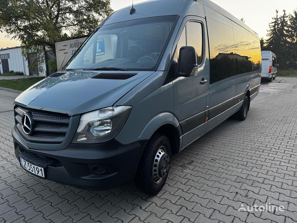 Mercedes-Benz Sprinter 519 putnički minibus