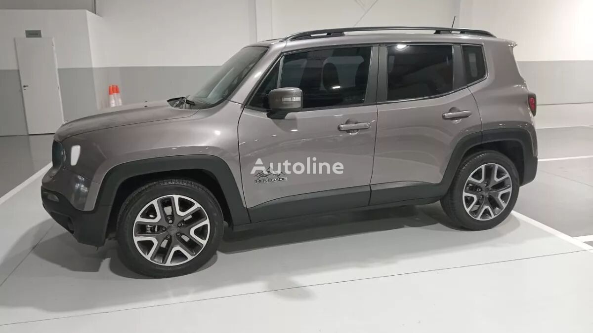 Jeep Renegade terenac