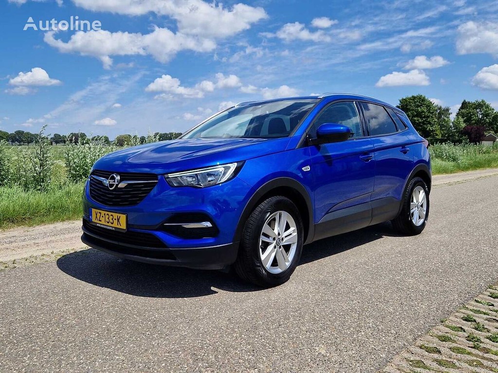 Prodaje se Opel Grandland X krosover na aukciji