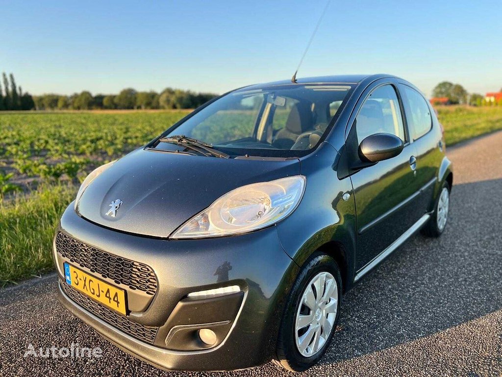 Prodaje se Peugeot 107 hečbek na aukciji