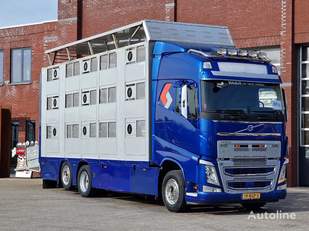 Volvo FH 13.460 Globetrotter 6x2*4 - Cuppers 1/2/3 deck livestock - Wa kamion za prevoz stoke