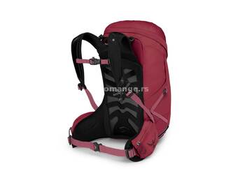 Tempest 24 Backpack