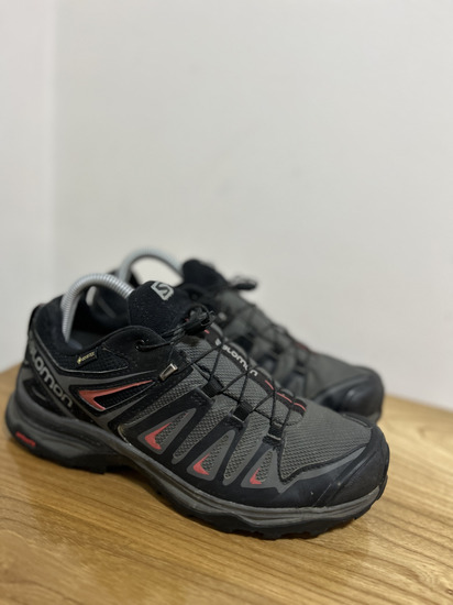 Salomon X ultra goretex