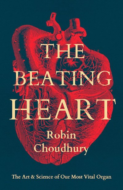 Beating Heart