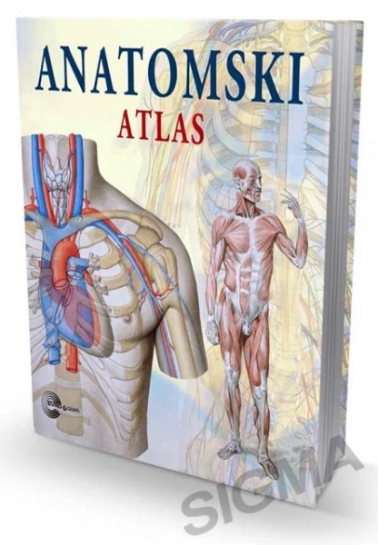 Anatomski atlas - Adrijana Riguti