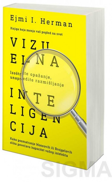 Vizuelna inteligencija - Ejmi E. Herman