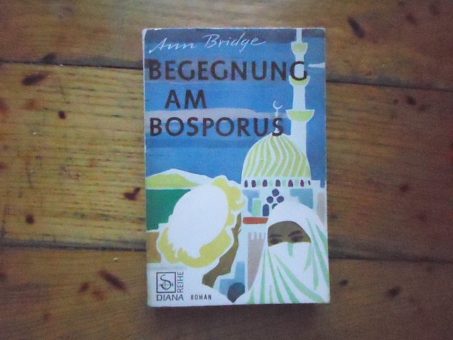 ANN BRIDGE - BEGEGNUNG AM BOSPORUS