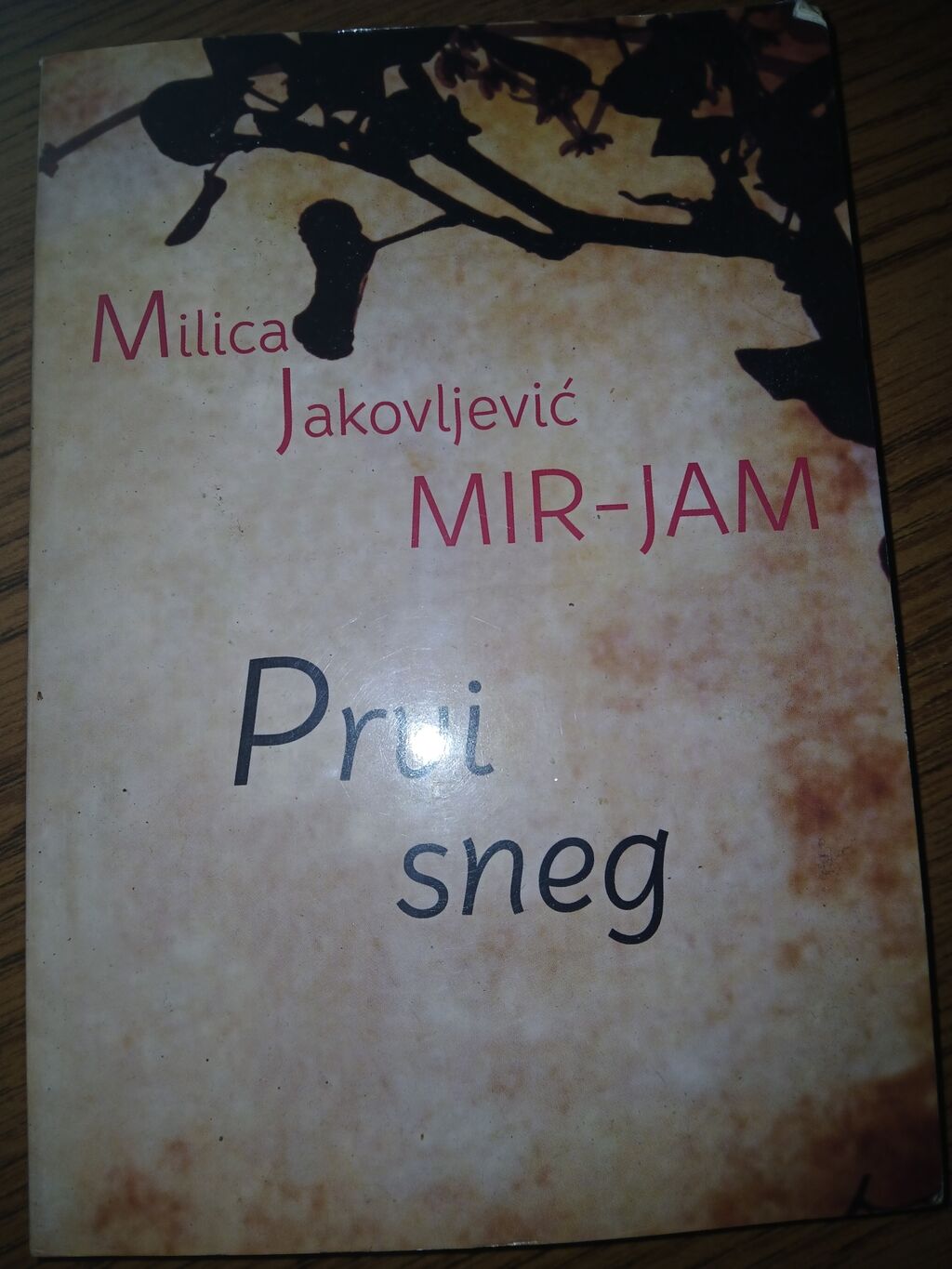 Milica Jakovljevic Mirjam-Prvi sneg