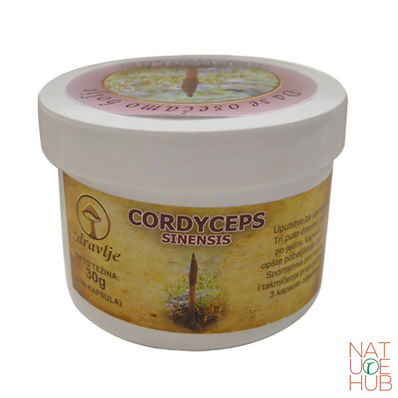 Cordyceps sinensis gljiva EP, 100cps