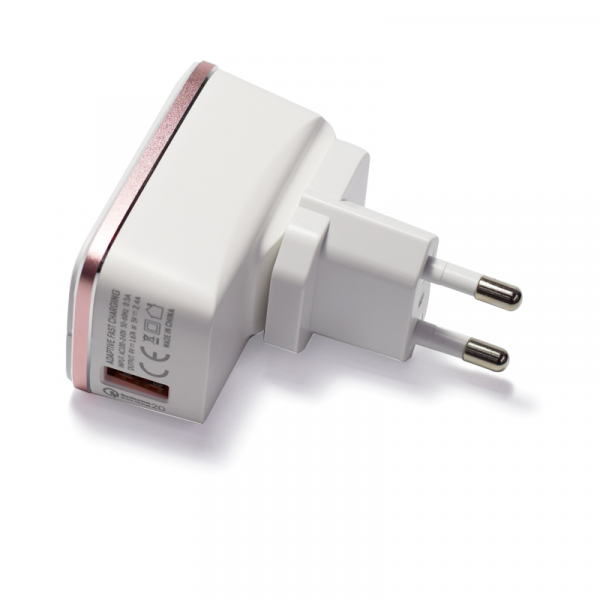 Kucni punjac LDNIO A1204Q 5V/ 2,4A FAST CHARGING + Type-C kabel beli.