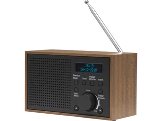 DenverR FM Radio DAB-46DG