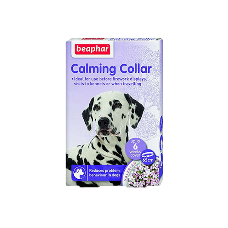 Calming collar dog