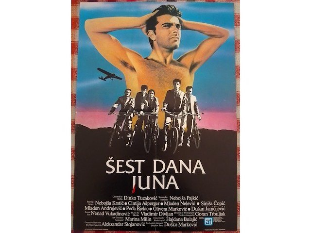 plakat ŠEST DANA JUNA (Vlada Divljan Idoli)