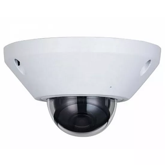 DAHUA IPC-EB5541-AS 5MP WIZMIND FISHEYE NETWORK CAMERA