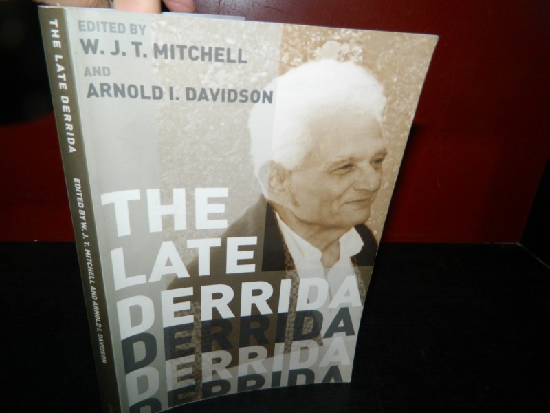 The Late Derrida, Mitchell / Davidson