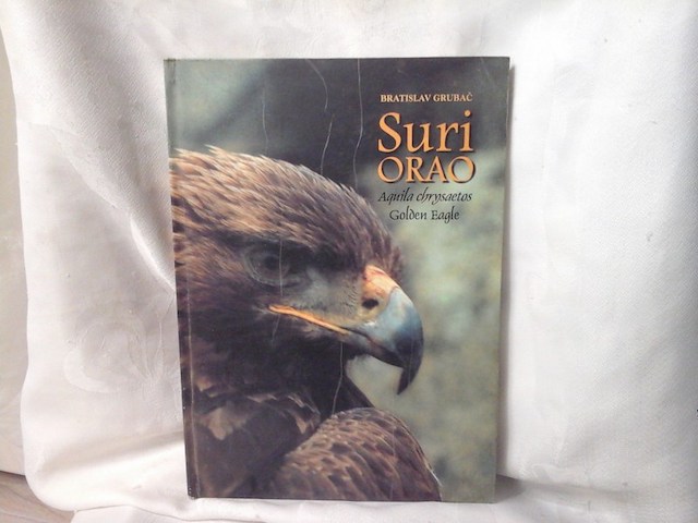 Suri orao Bratislav Grubač aguila golden eagle