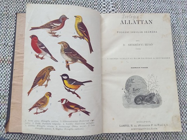 Állattan - Zoologija iz 1903.  na mađarskom jeziku