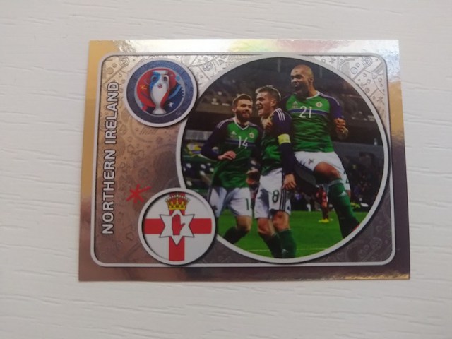 Panini EURO 2016 sličica broj 239