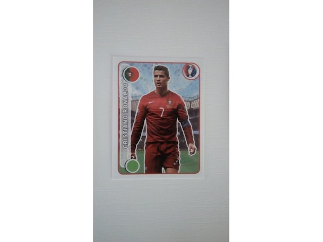 Panini EURO 2016 sličica broj 597