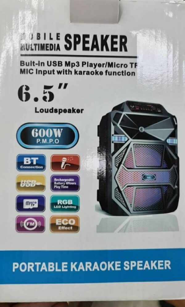 Karaoke zvucnik 600W sa mikrofonom – Karaoke zvucnik 600W sa mikrofonom