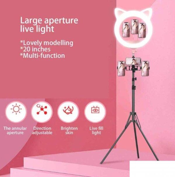 Led Ring svetlo za sminkanje i slikanje 20 inch 50 cm cat – Led Ring svetlo za sminkanje i slikanje 20 inch 50 cm cat