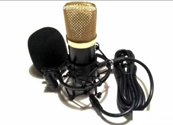 Studijski mikrofon BM – 700 – Condenser microphone – Studijski mikrofon BM – 700 – Condenser microphone