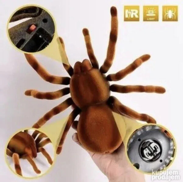 Tarantula na daljinski