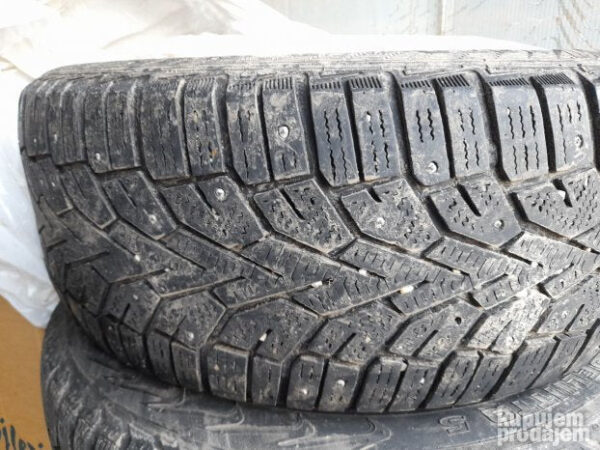 Zimske gime 205/55 R16