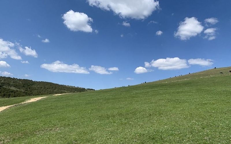 Ljubiš, Zlatibor