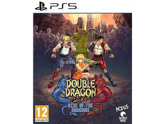 Ps5 Double Dragon Gaiden - Rise Of The Dragons