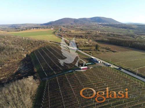 Plantaža borovnica na 2 hektara zemlje, Kosmaj, Nemenikuće #P568 #1373