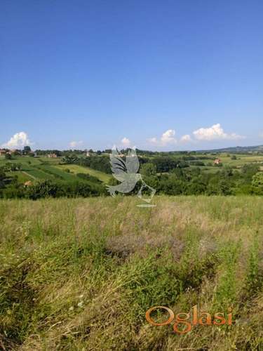 Veliko poljoprivredno zemljište podno Kosmaja #P611 #1460