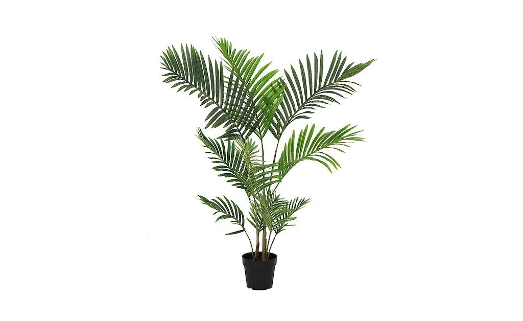 Biljka u saksiji Palm 120cm