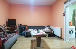 Stan,BEOČIN,BEOČIN,kv: 30, € 46350, ID: 1028939