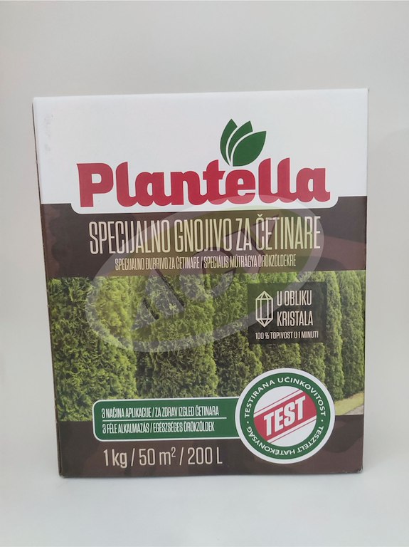 PLANTELA CETINARI 1/1