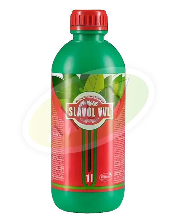 SLAVOL VVL 1/1L