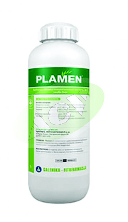 PLAMEN 1/1