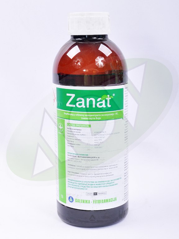 ZANAT 1/1