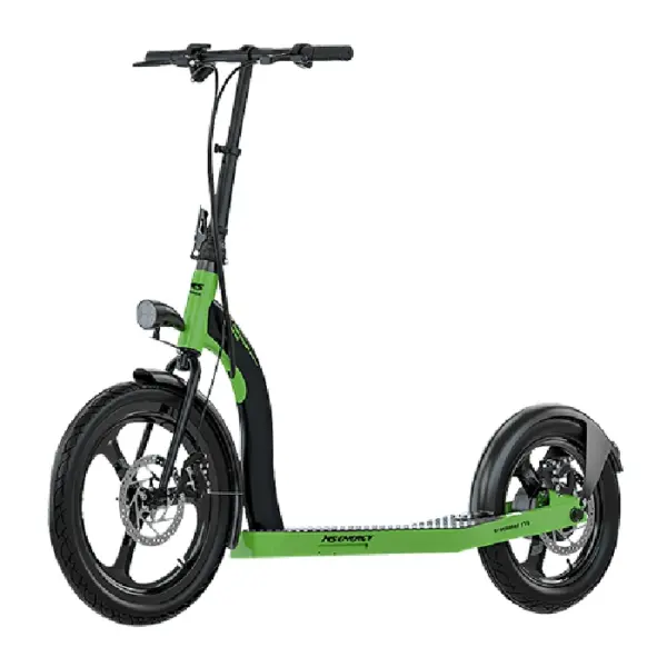 MS ENERGY Električni trotinet R10 Green