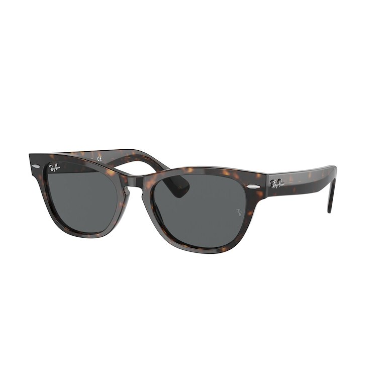 RAY BAN LARAMIE Sunčane naočare 0RB2201 902/B1 54