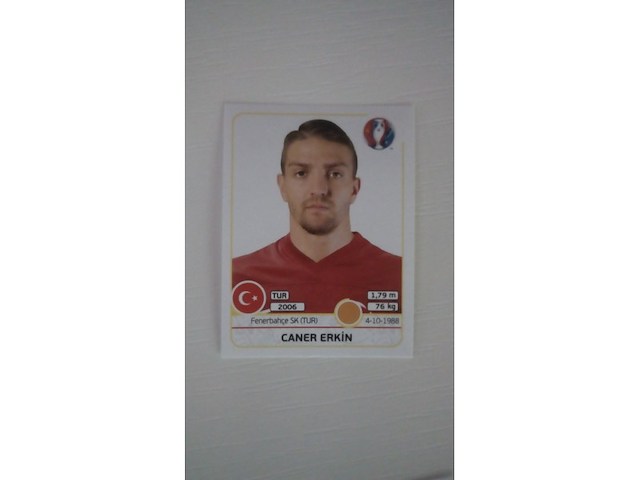 Panini EURO 2016 sličica broj 415