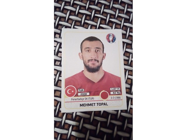 Panini EURO 2016 sličica broj 411