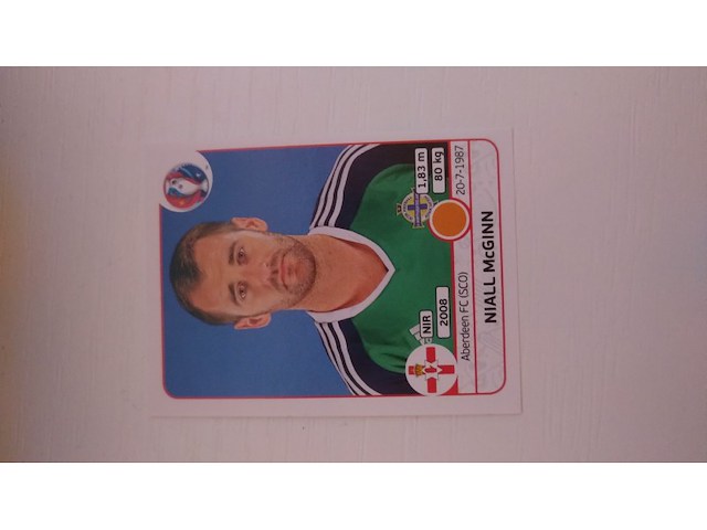 Panini EURO 2016 sličica broj 336