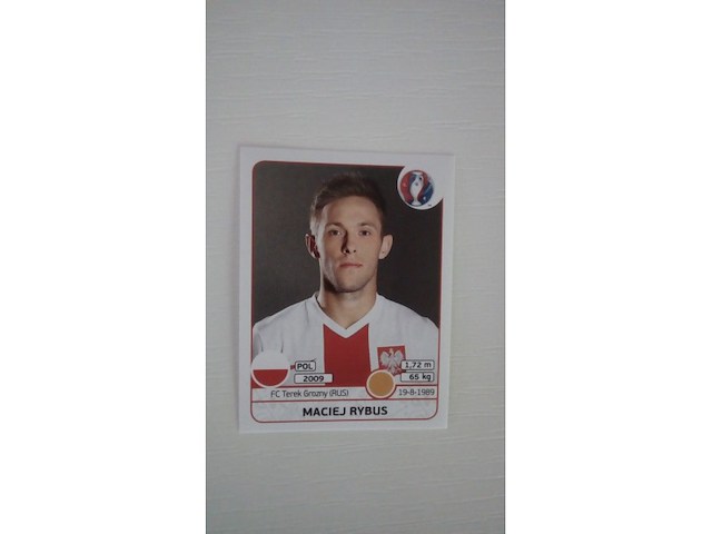 Panini EURO 2016 sličica broj 303