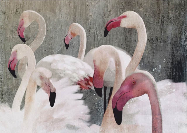 Flamingosi , uramljena slika 40x50cm, 50x70cm i 60x90cm