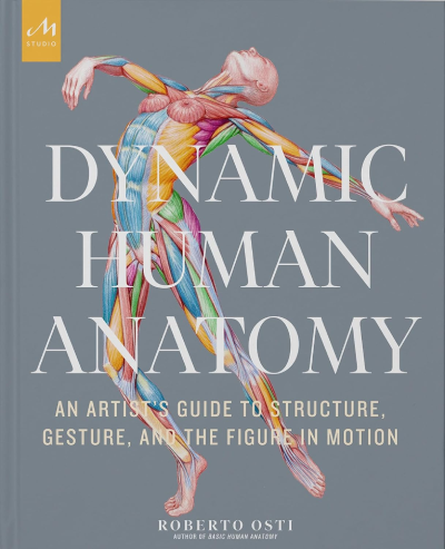 Dynamic Human Anatomy