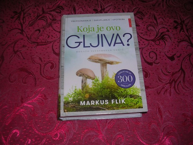 KOJA JE OVO GLJIVA? - MARKUS FLIK