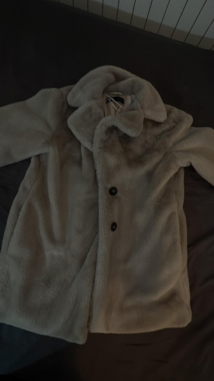 Zara Teddy Coat