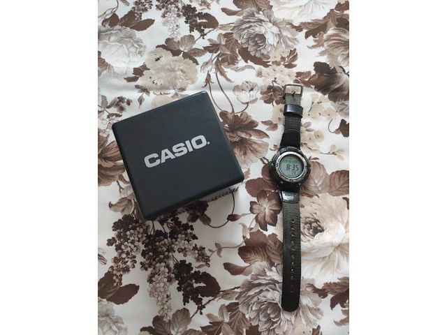 Casio SGW100B